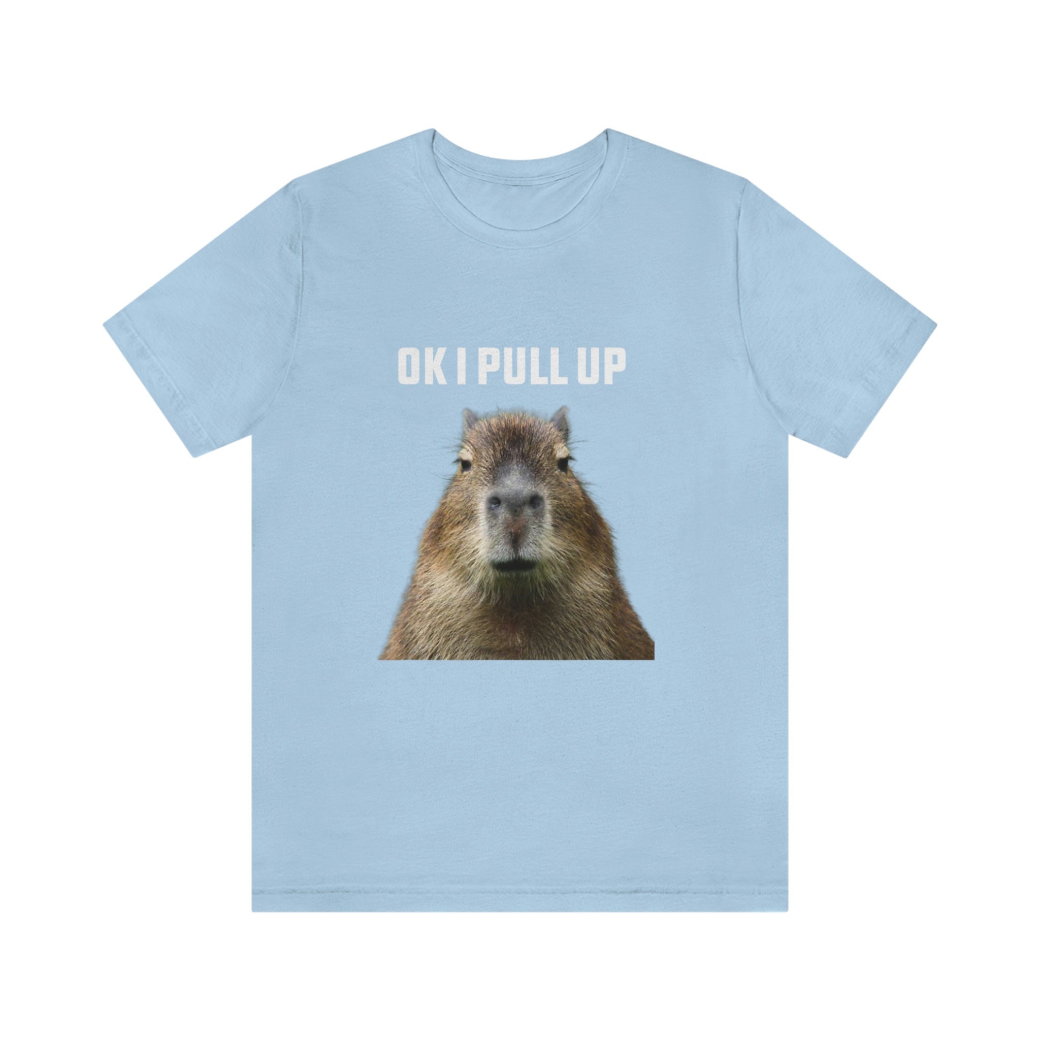 Ok I Pull up Capybara Sarcastic Dank Meme Quote Funny Meme T-shirt , Ok ...