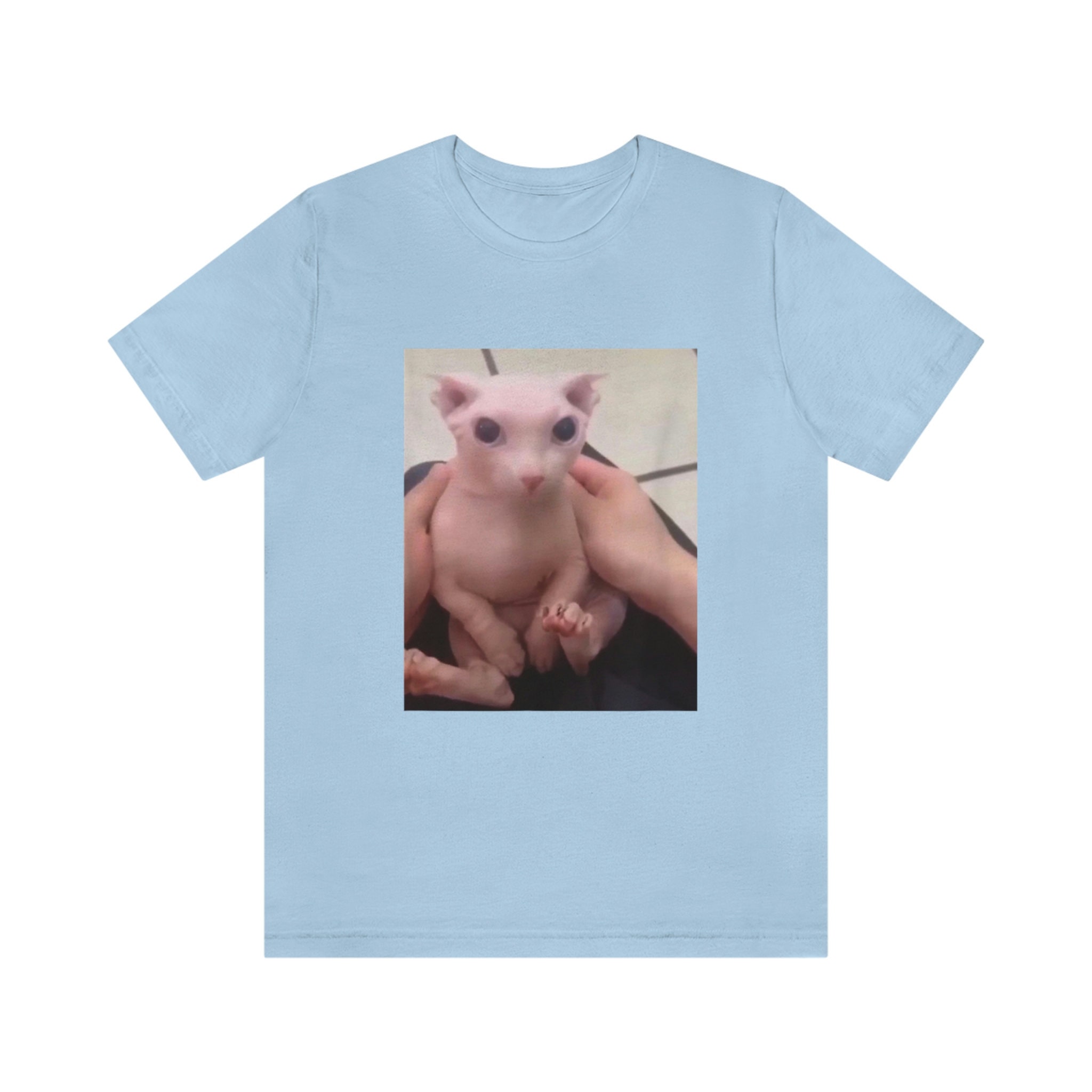 Bingus Fan Shirt, Bingus Shirt ,bingus the Cat Tshit , Bingus My Beloved Tshirt , Bingus Merch ...