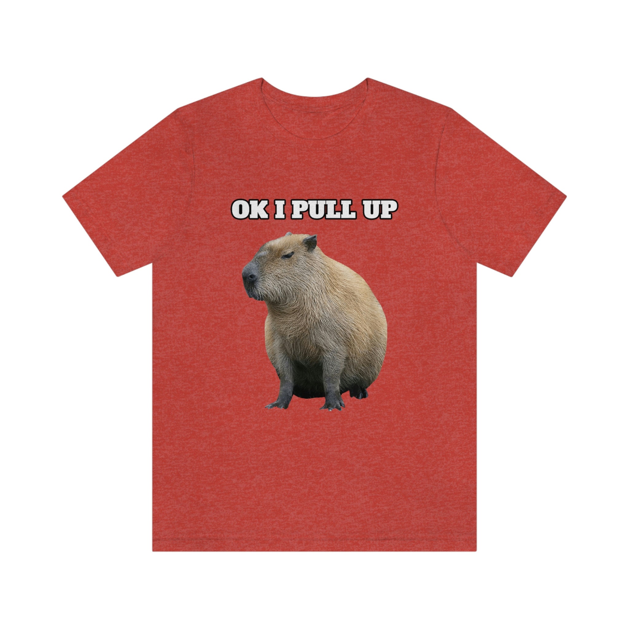 OK I Pull up Capybara Funny Meme T Shirt Ok I Pull up ,capybara ...