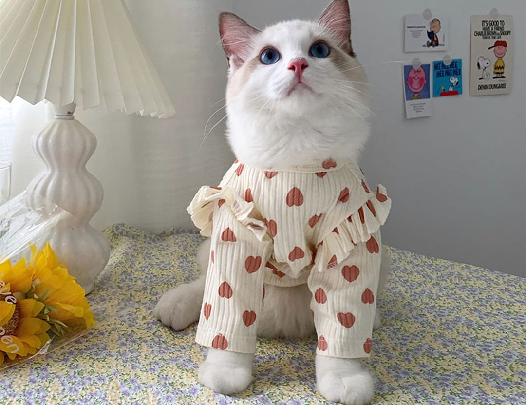 Kitty Clothes Cat Summer Clothes Cat Clothes Girl Cat - Etsy