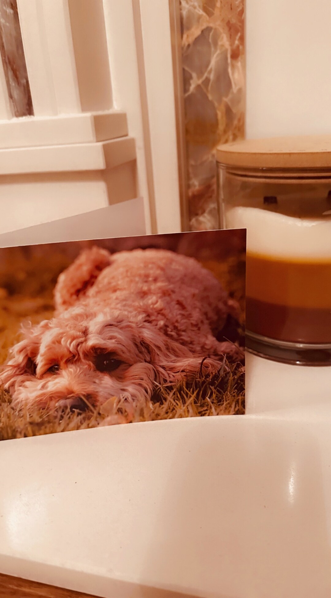 Red Cockapoo Blank Greetings Card - Etsy UK