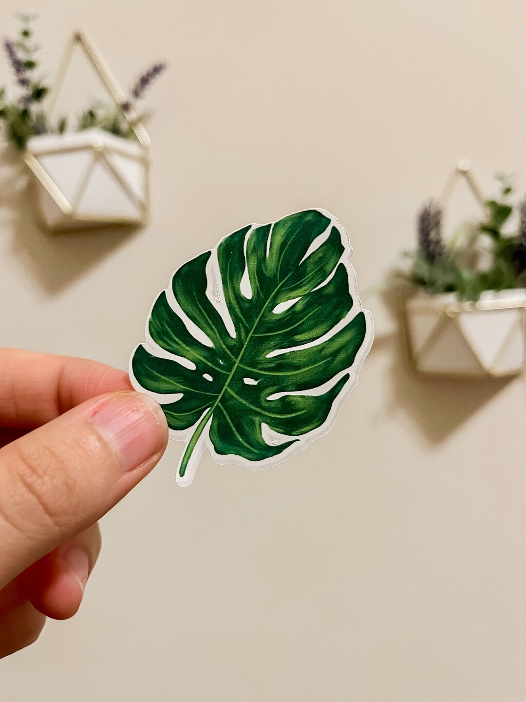 Monstera Leaf Sticker Plant Sticker Plant Leaf Sticker Nature Laptop ...