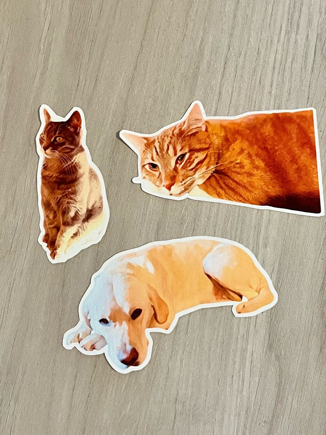 Customizable Animal Stickers Custom Pet Stickers Custom - Etsy