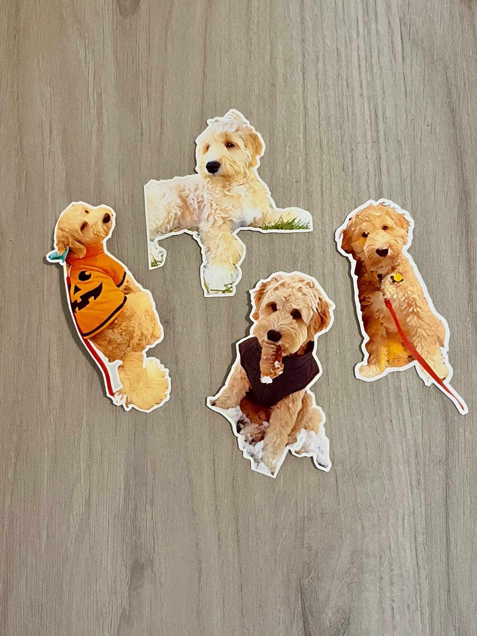 Customizable Animal Stickers Custom Pet Stickers Custom - Etsy