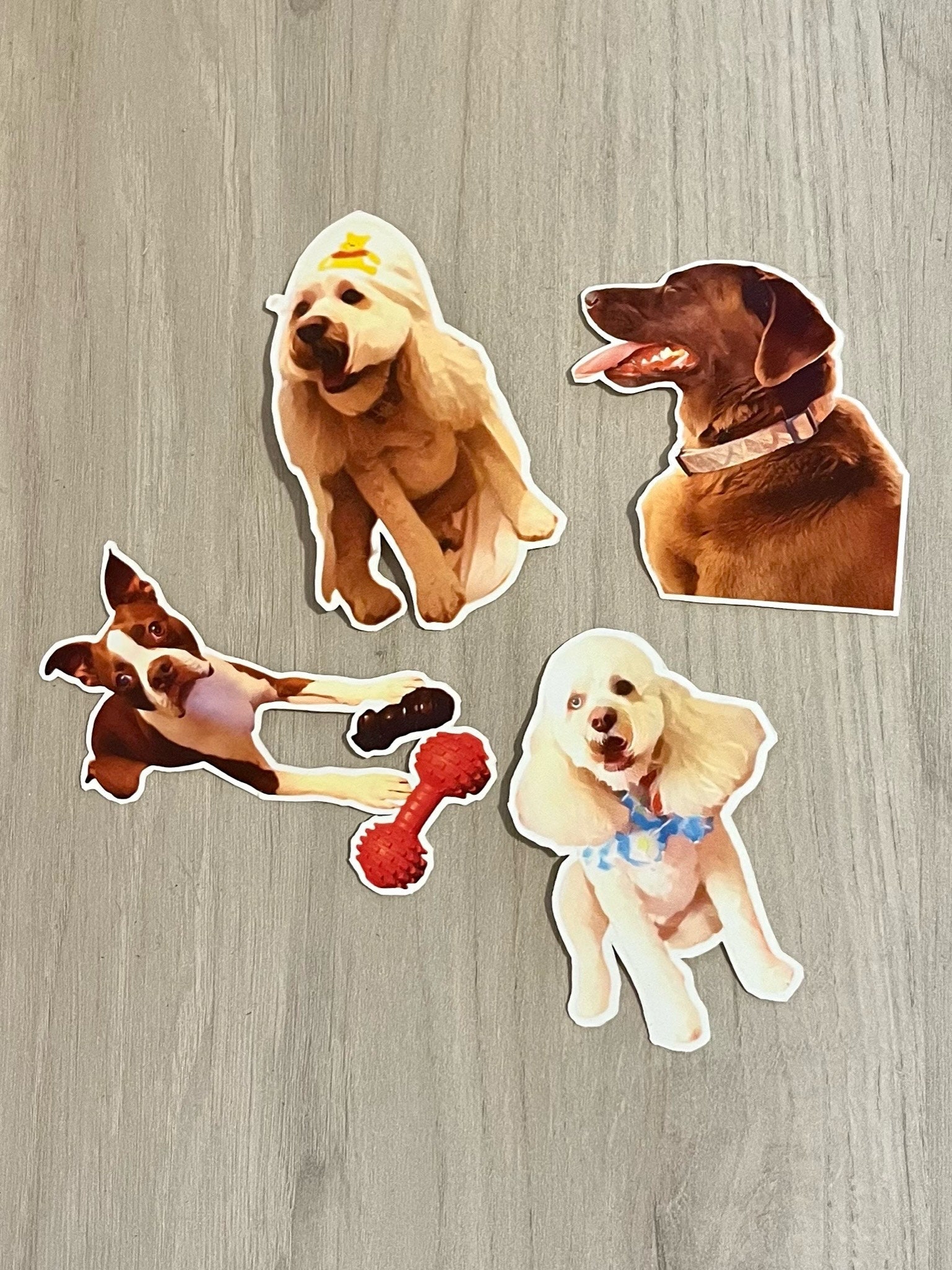 Customizable Animal Stickers Custom Pet Stickers Custom - Etsy