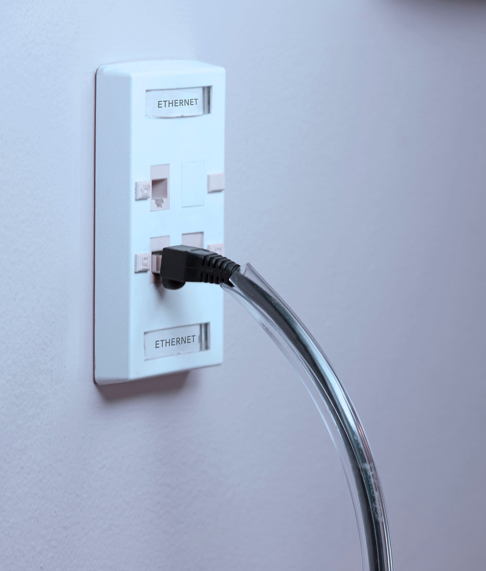 PETCORDS Dog and Cat Cord Protector Pets, Protects Your Pets From ...