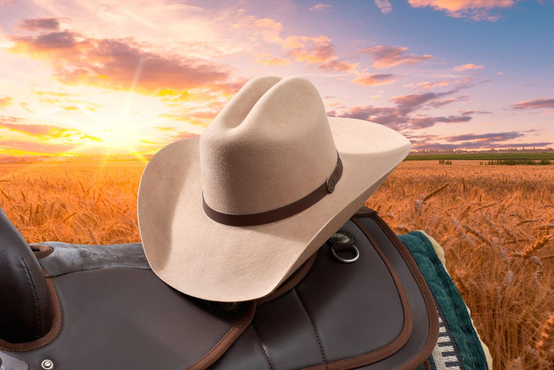 56810M Roper Cowboy Hat - Etsy