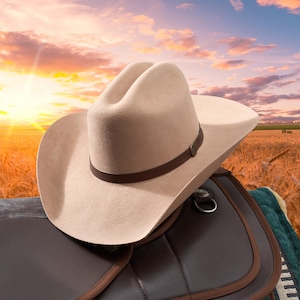 56810M Roper Cowboy Hat - Etsy