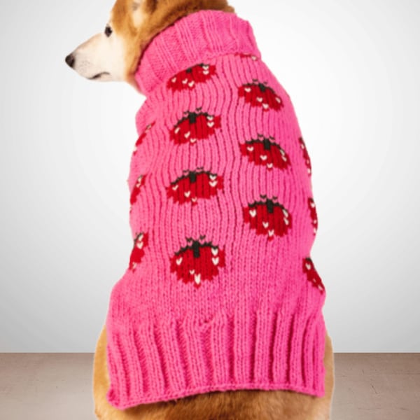 Alpaca for Dog - Etsy