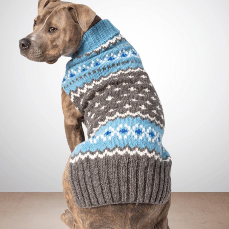 Handmade Wool Dog Clothes - Etsy