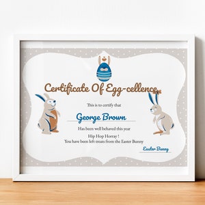 Easter Bunny Certificate Printable, Easter Bunny Certificate, Easter ...
