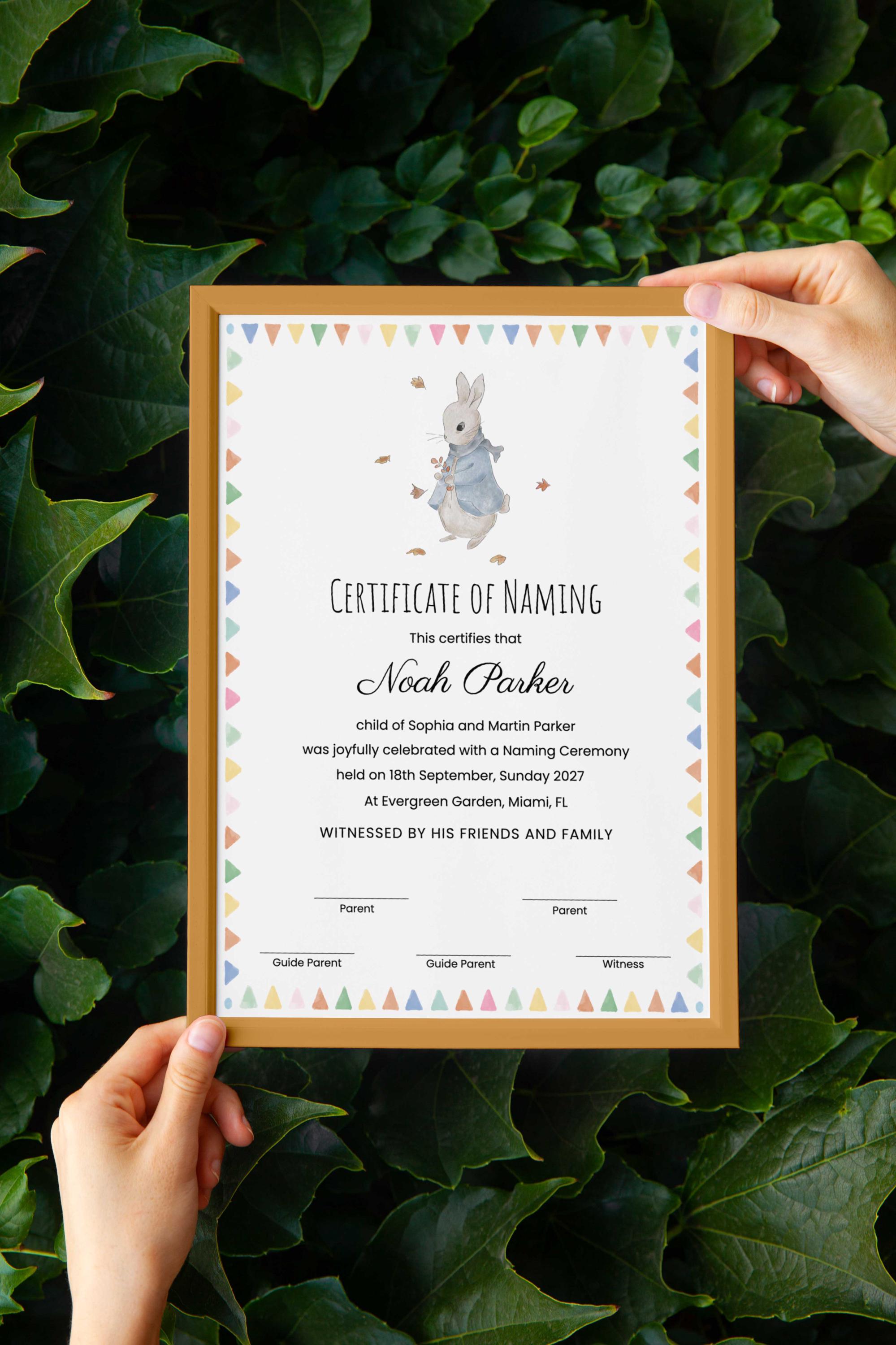 Editable Certificate of Naming Ceremony Printable Baby Naming ...