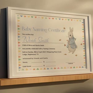 Editable Baby Boy Naming Certificate Template Printable Certificate of ...