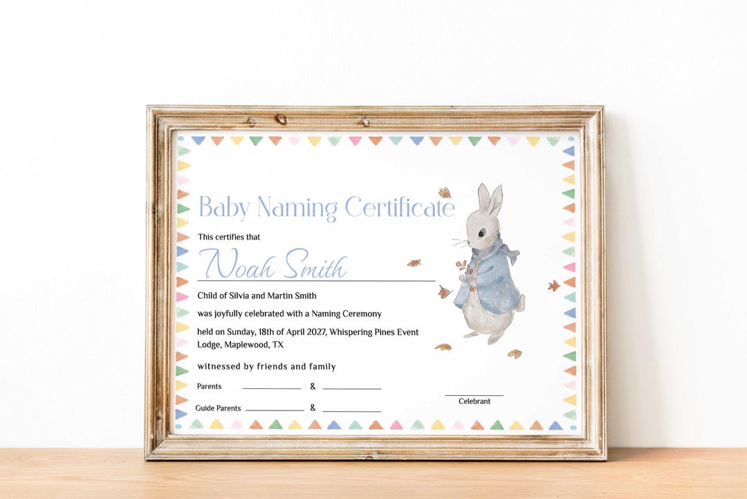 Editable Baby Boy Naming Certificate Template Printable Certificate of ...