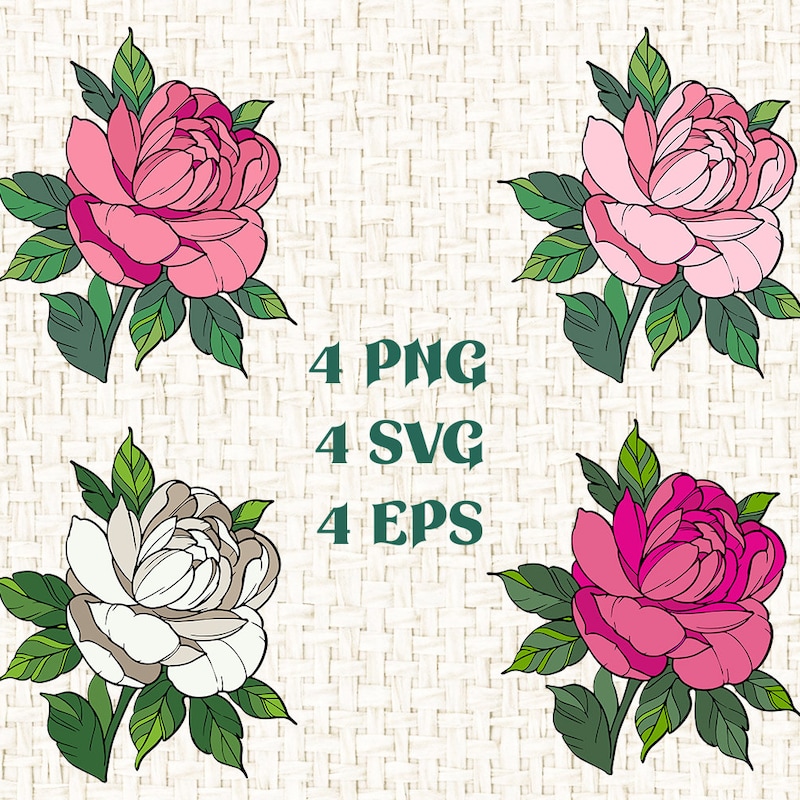 Peony Svg - Etsy