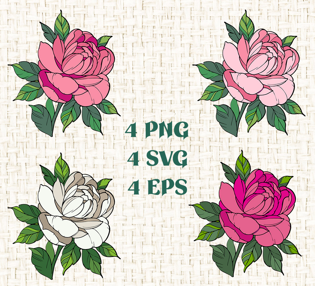 PEONIES SVG BUNDLE, Peony Svg, Pink and White Peony Peonies Clipart ...