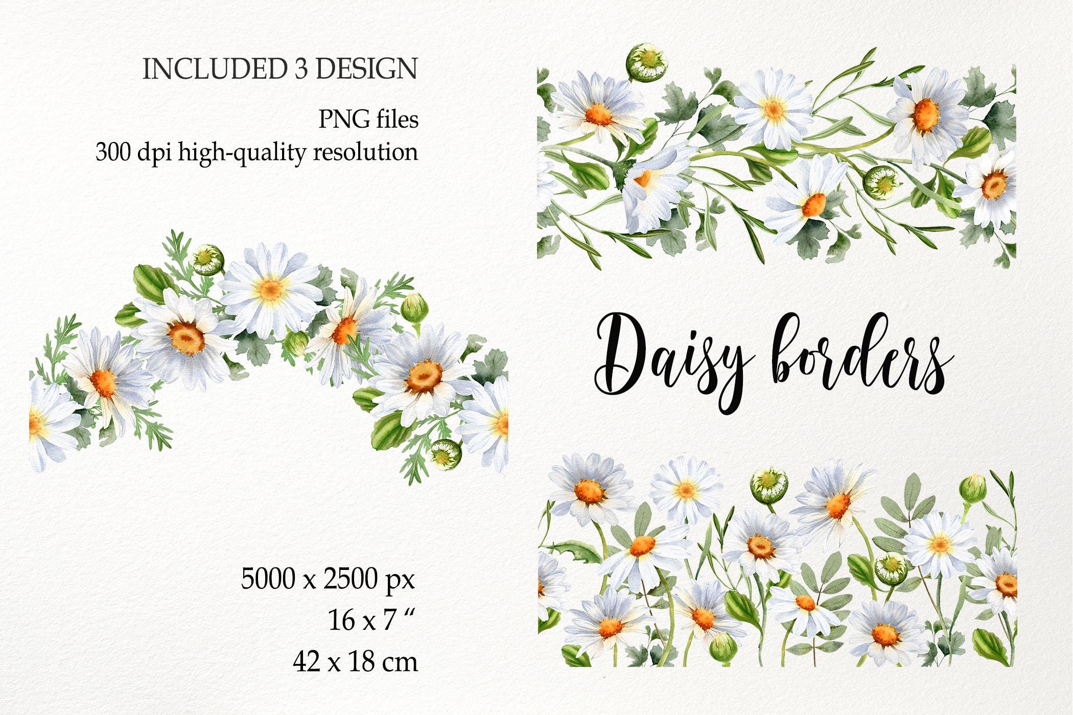 Daisy Border Clipart. Watercolor Chamomile Flowers PNG. Floral Garland ...