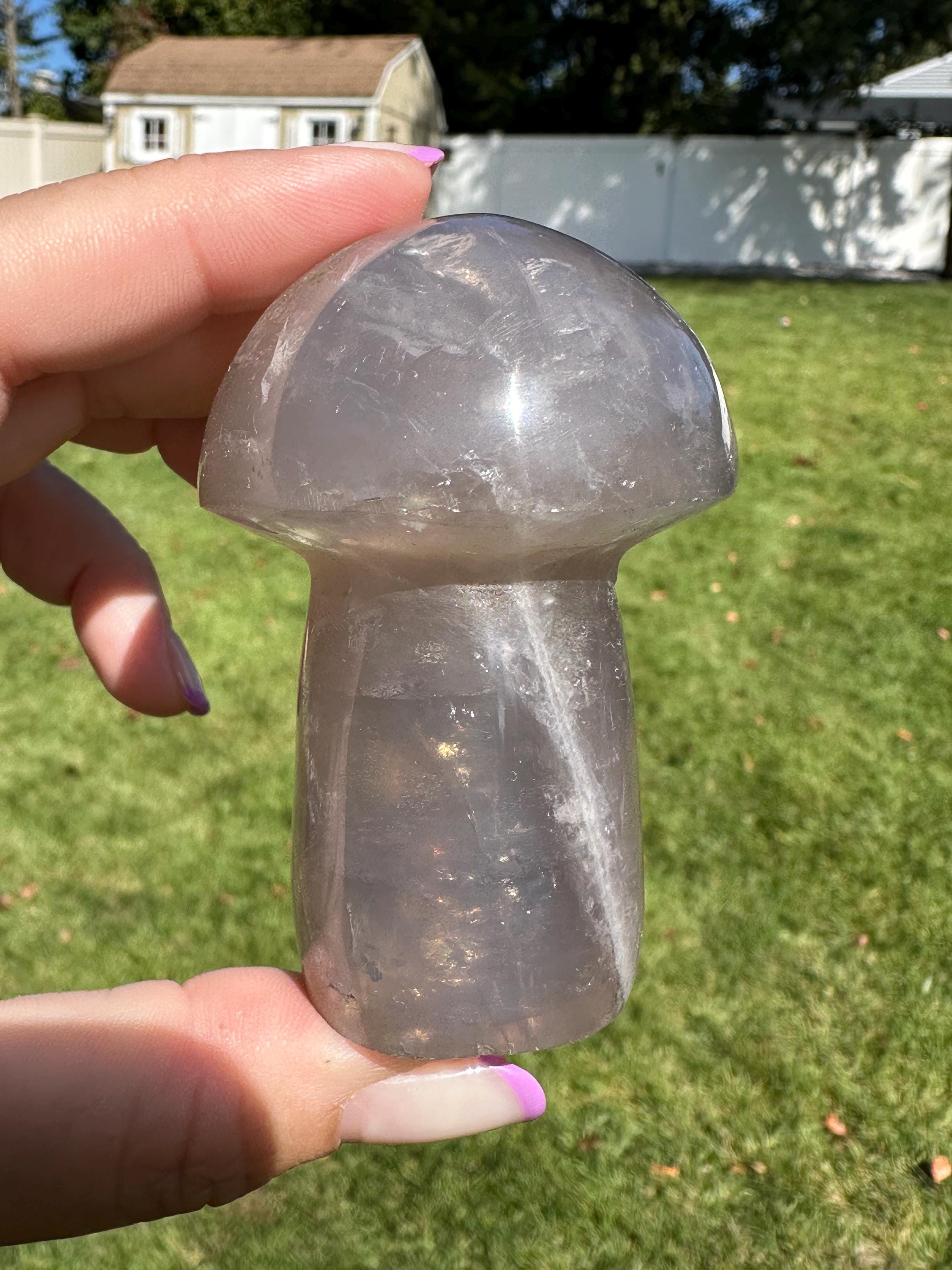 Blue Rose Quartz Crystal Mushroom – Whimsical Fairy Crystal – Carved ...