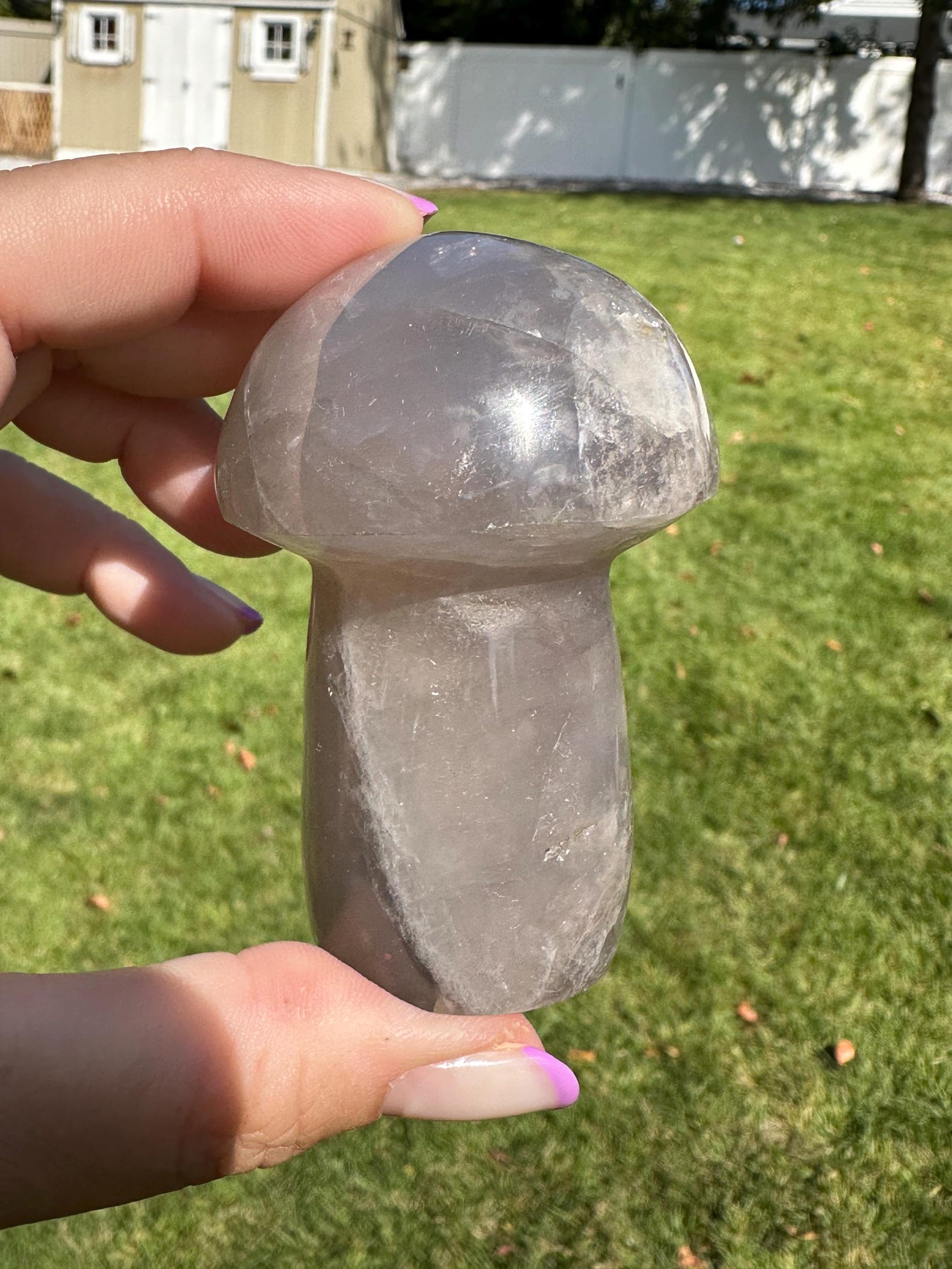 Blue Rose Quartz Crystal Mushroom – Whimsical Fairy Crystal – Carved ...