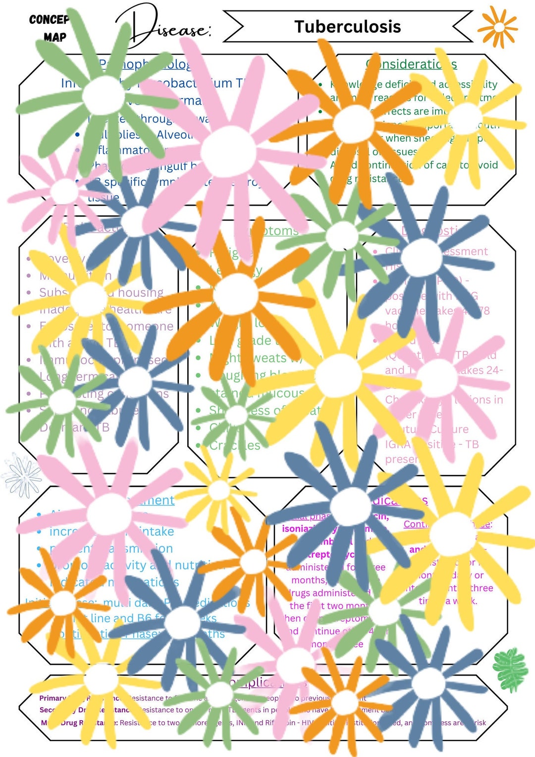 Tuberculosis Concept Map - Etsy