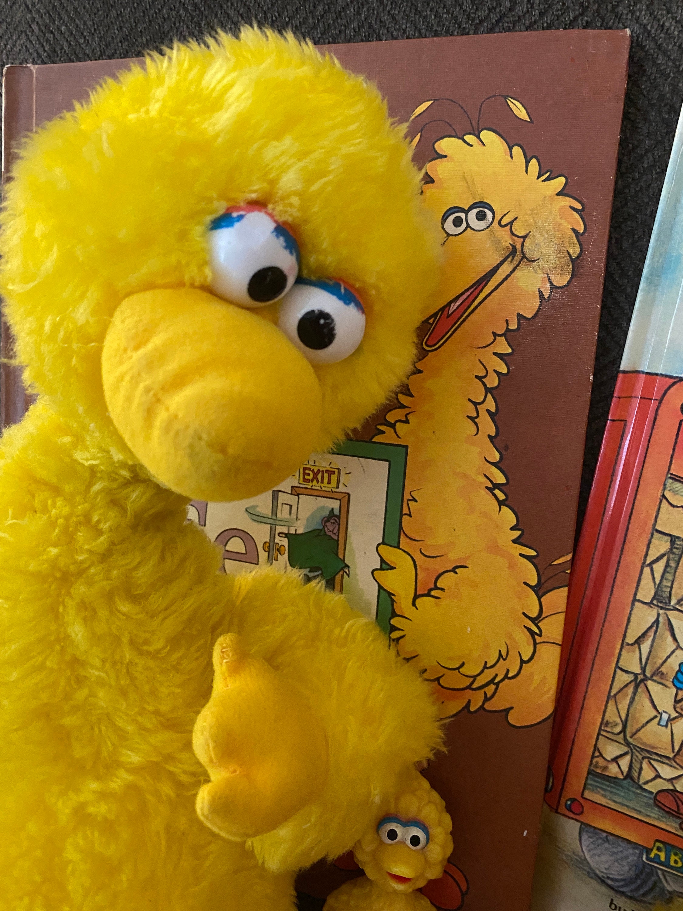 Vintage BIG BIRD Bundle Jim Henson Birthday / Baby Shower - Etsy