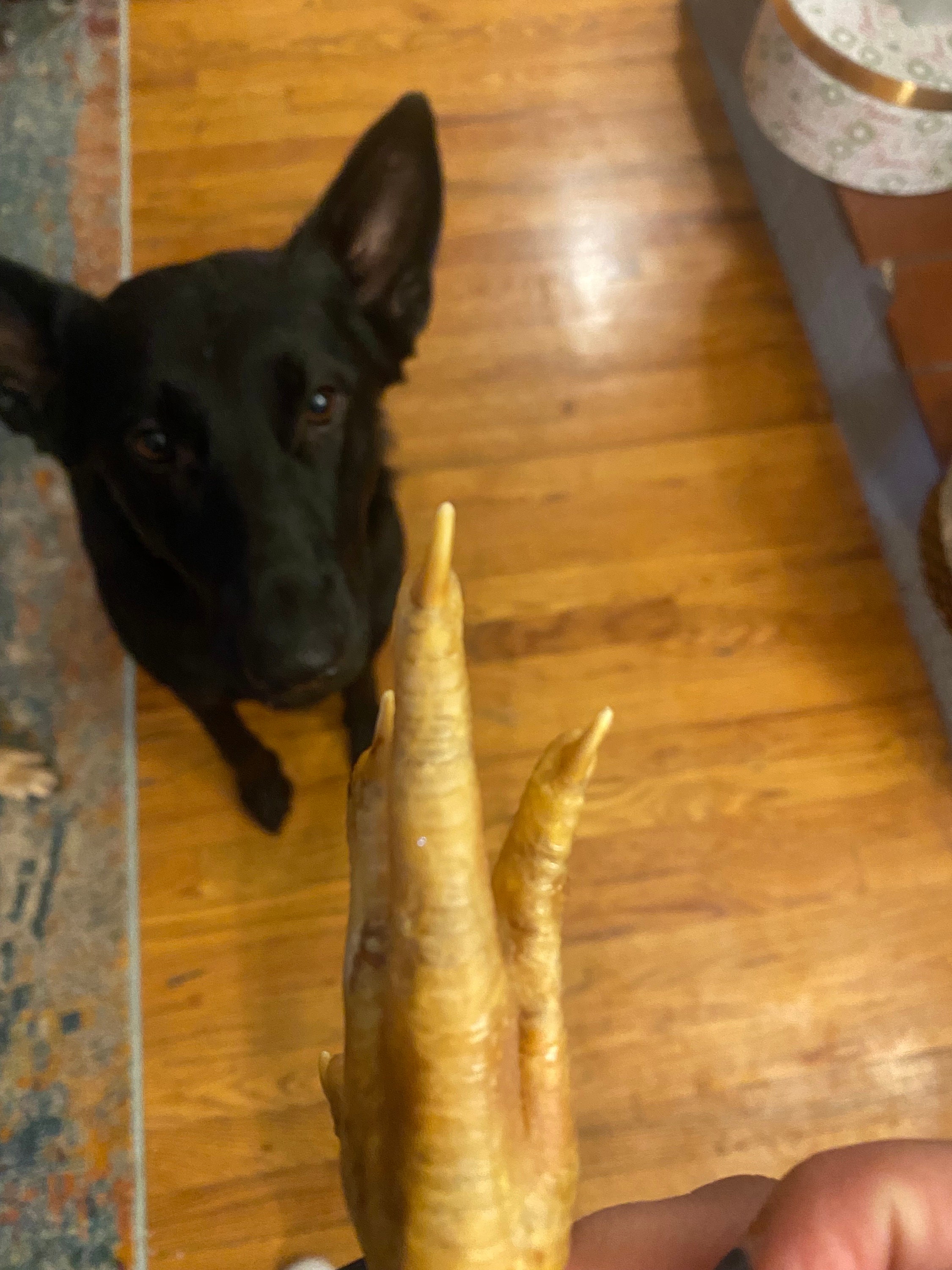 Chicken Feet/dehydrated Chicken Feet/dog Treats/chicken Dog Treats ...