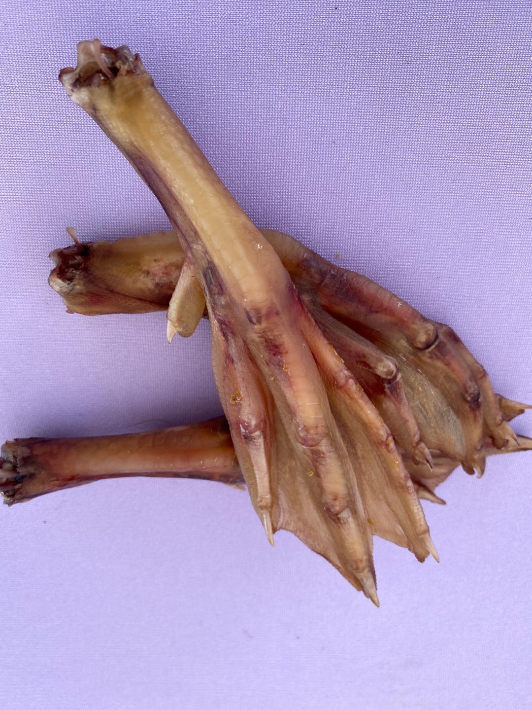 Duck Feet/dehydrated Duck Feet/dog Treats/duck Dog Treats/duck Feet ...