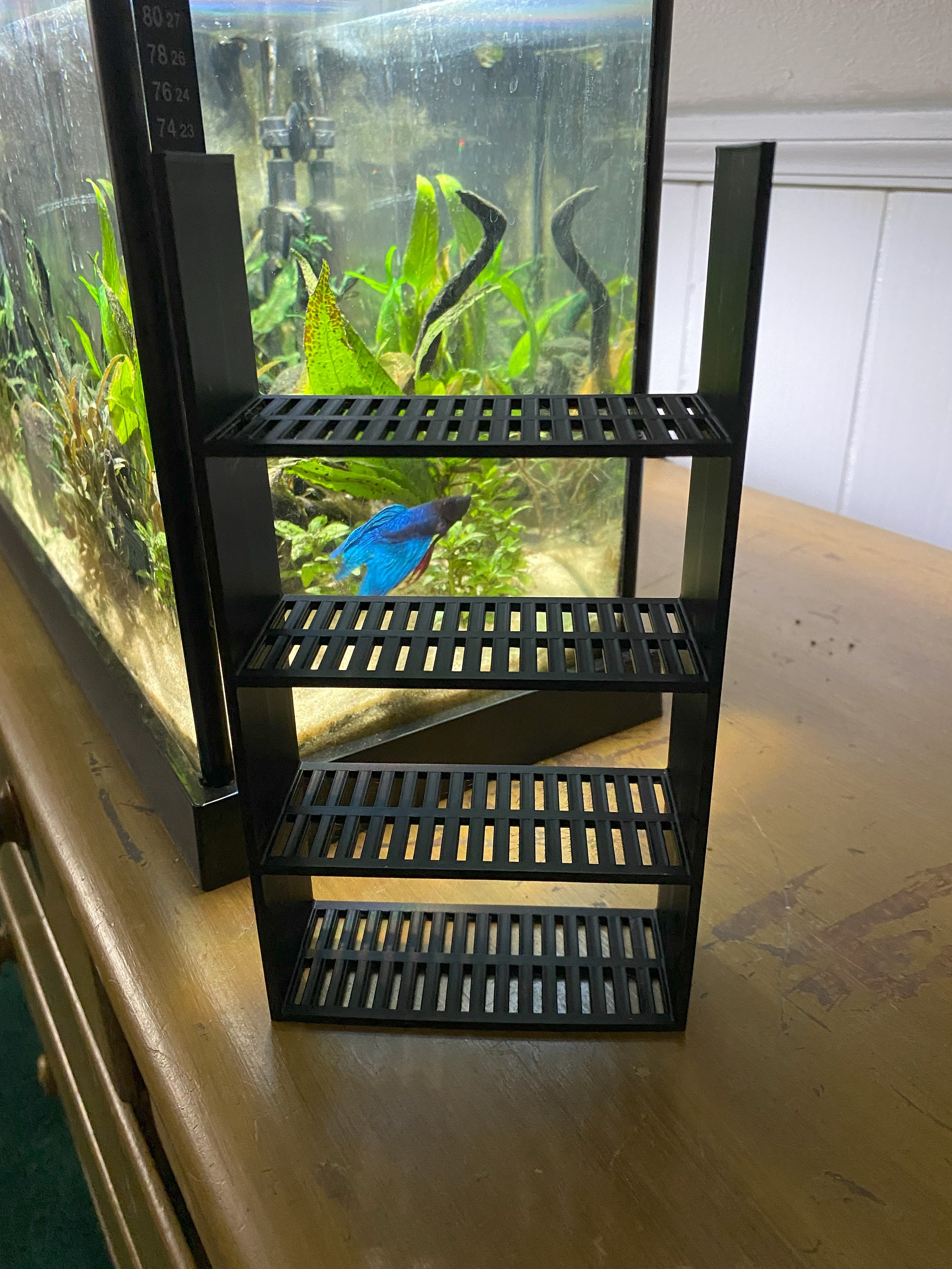 Fluval Evo 5/ Spec 5 Filtration Media Basket - Aquarium Filtration - Etsy