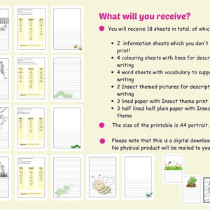 Printable Insect Themed Activity Sheets, Includes Colouring Pages ...