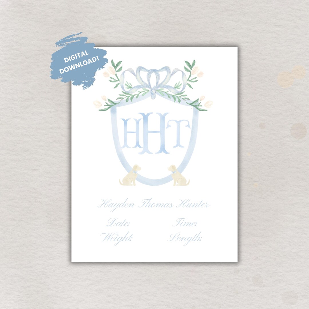 Baby Boy Welcome Sign | Boy Hospital Sign | Print at Home Digital ...