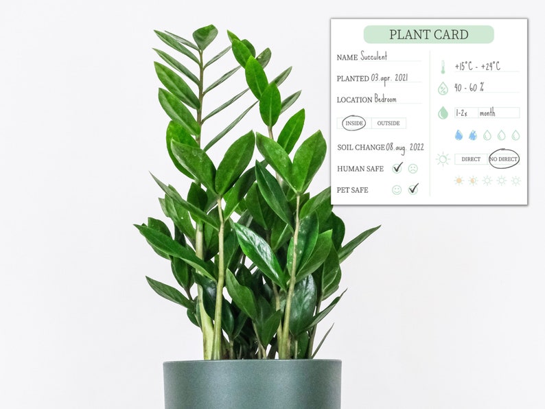 Printable Plant Care Card Houseplant Journal Digital Plant - Etsy