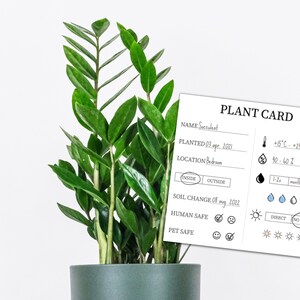 Digital Plant Planner, Plant Care Sheet, Plant Care Card, Houseplant ...
