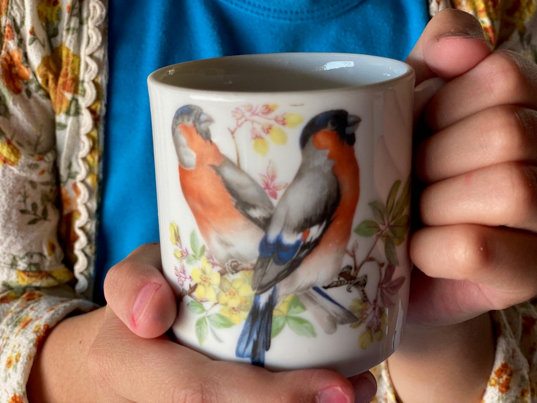 Vintage Mottahedeh Design Bird Mug Tea Cup Bullfinch Mug Songbird ...