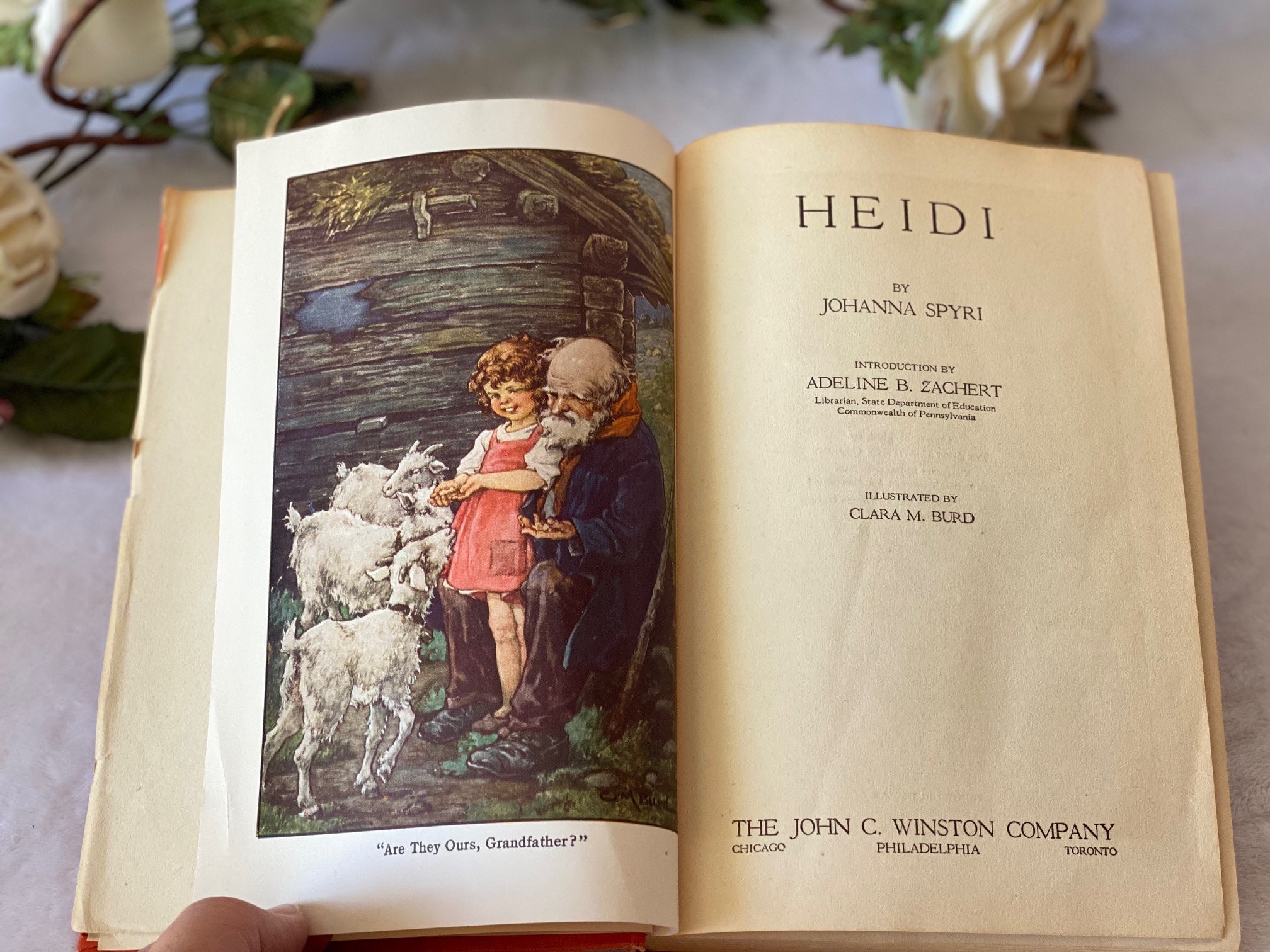 Vintage 1925 Illustrated Heidi Novel by Johanna Spyri - Etsy