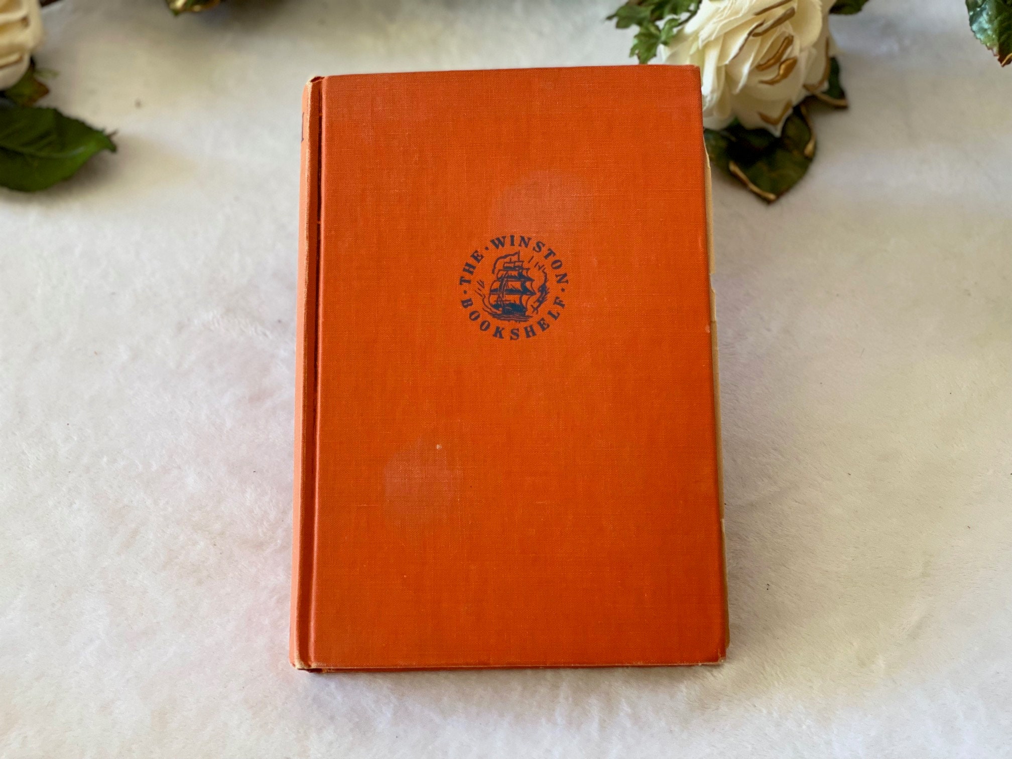 Vintage 1925 Illustrated Heidi Novel by Johanna Spyri - Etsy