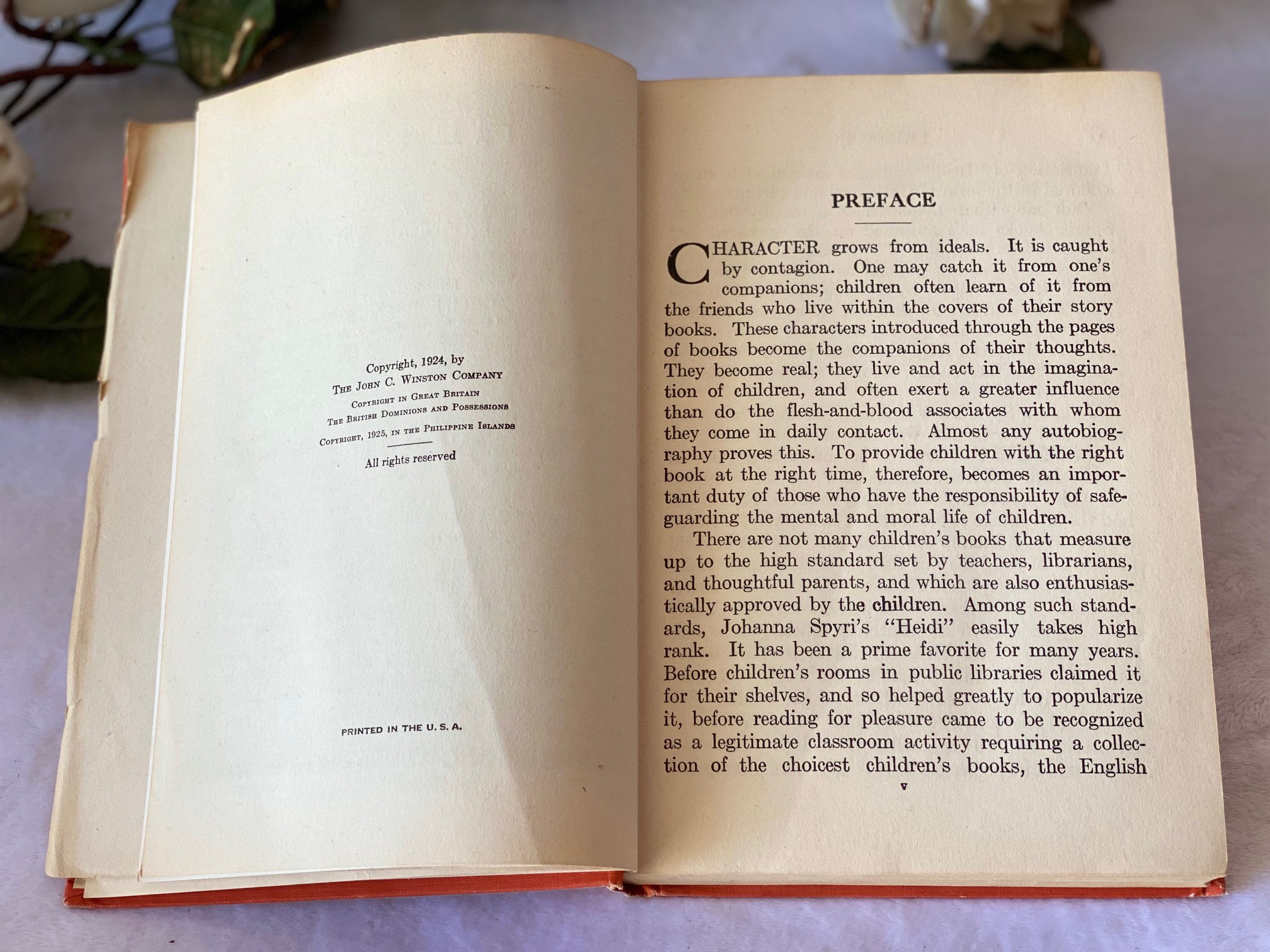 Vintage 1925 Illustrated Heidi Novel by Johanna Spyri - Etsy