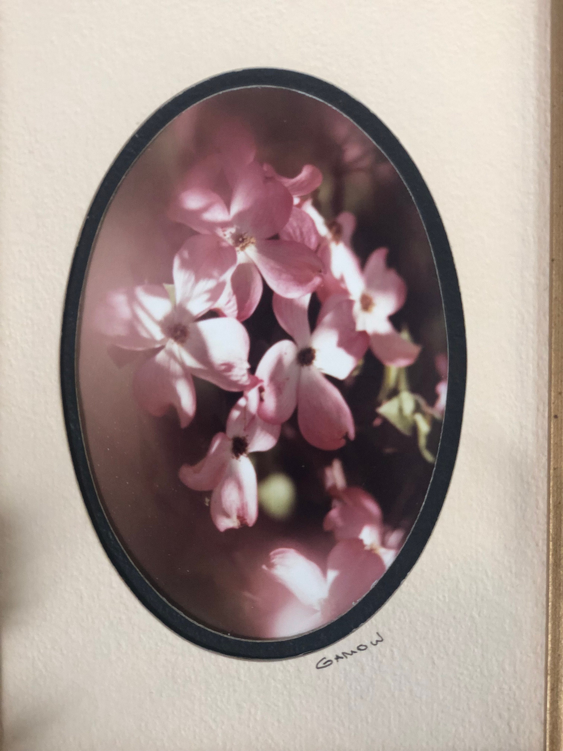 Vintage Art Signed Photograph by Barry Gamow Pink Flowers Floral Gold ...