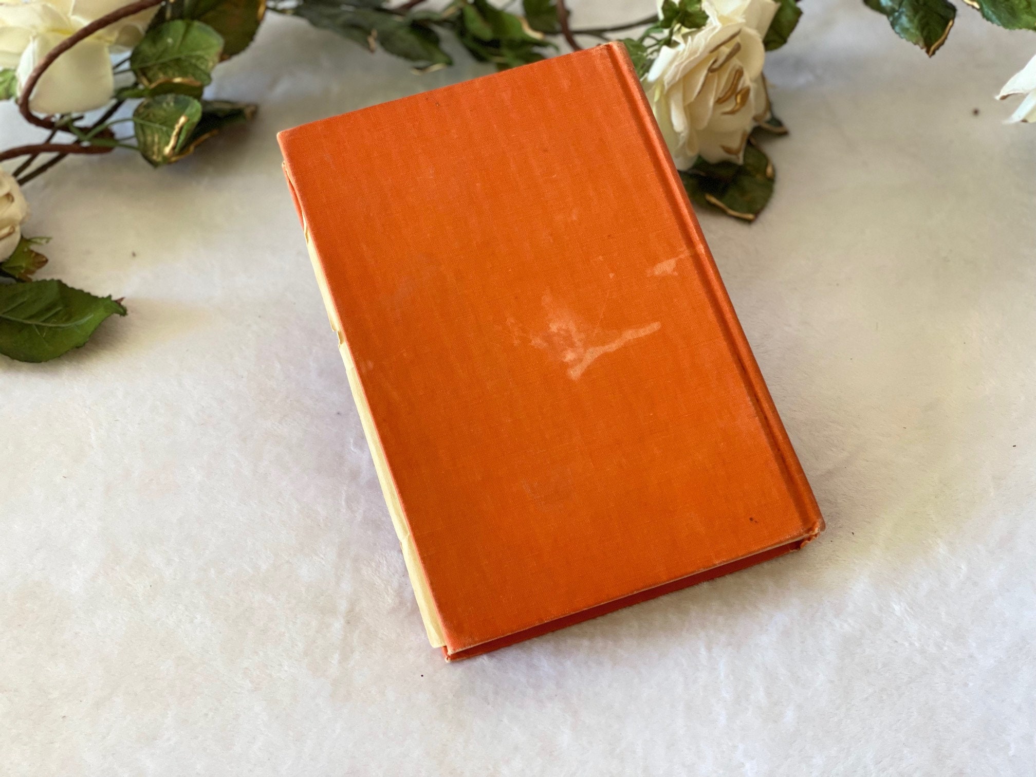 Vintage 1925 Illustrated Heidi Novel by Johanna Spyri - Etsy