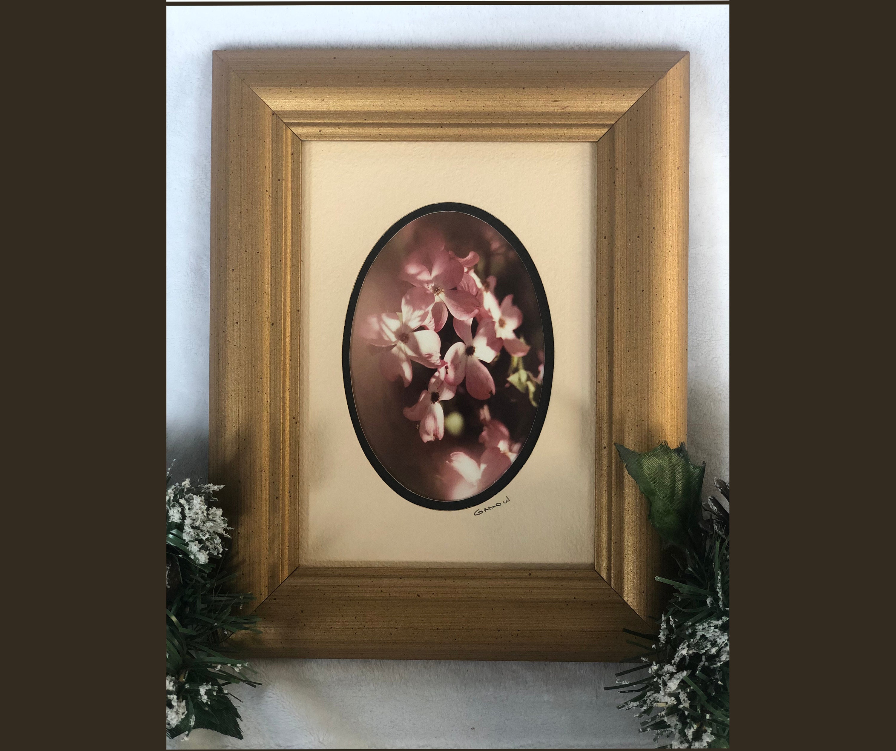 Vintage Art Signed Photograph by Barry Gamow Pink Flowers Floral Gold ...