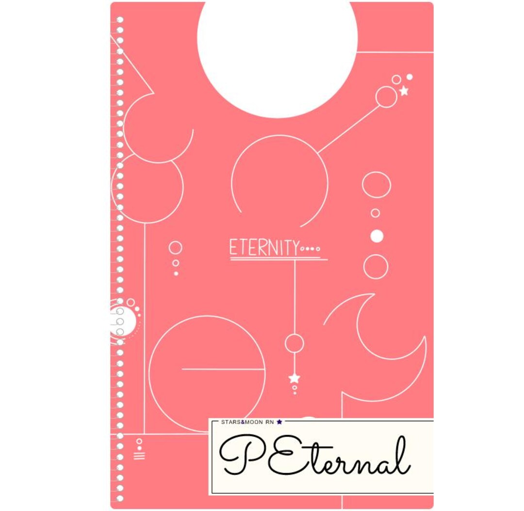 REUSABLE NICU Patient Report Book for Registered Nurses RN, Student ...
