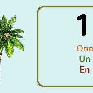 Numbers 0-20 Flashcards: English, French, Creole (printable) - Etsy