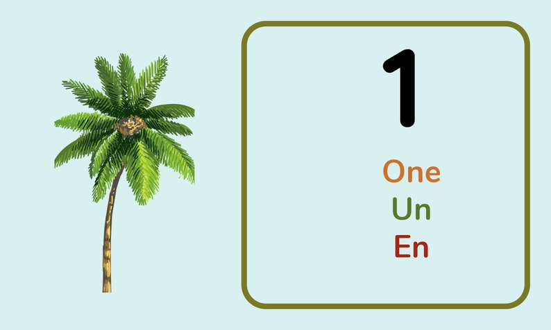 Flashcards Numbers 0 to 20 Homeschool Printable Counting Preschool Math ...