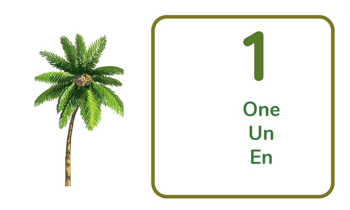 Trilingual Number Flash Cards: English, French, Creole (printable) - Etsy