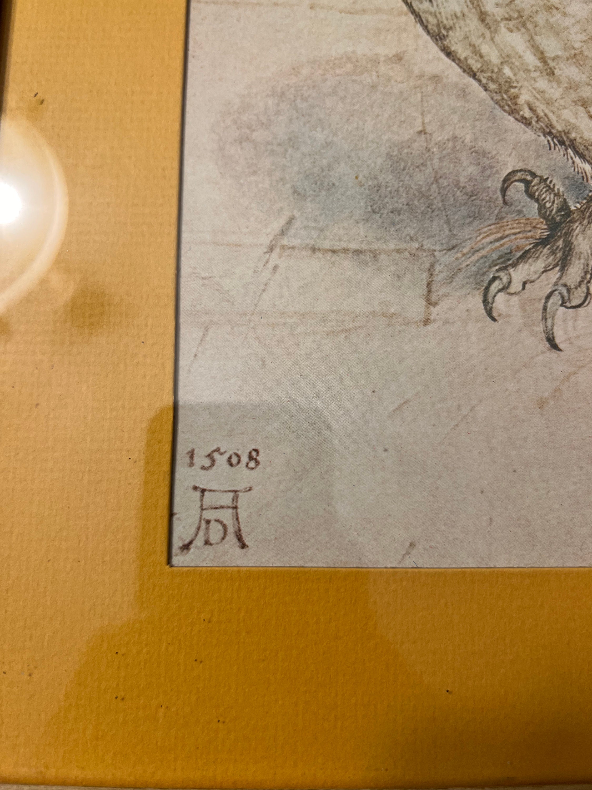 Albrecht Durer Rabbit and Owl Framed Prints Vintage Art - Etsy