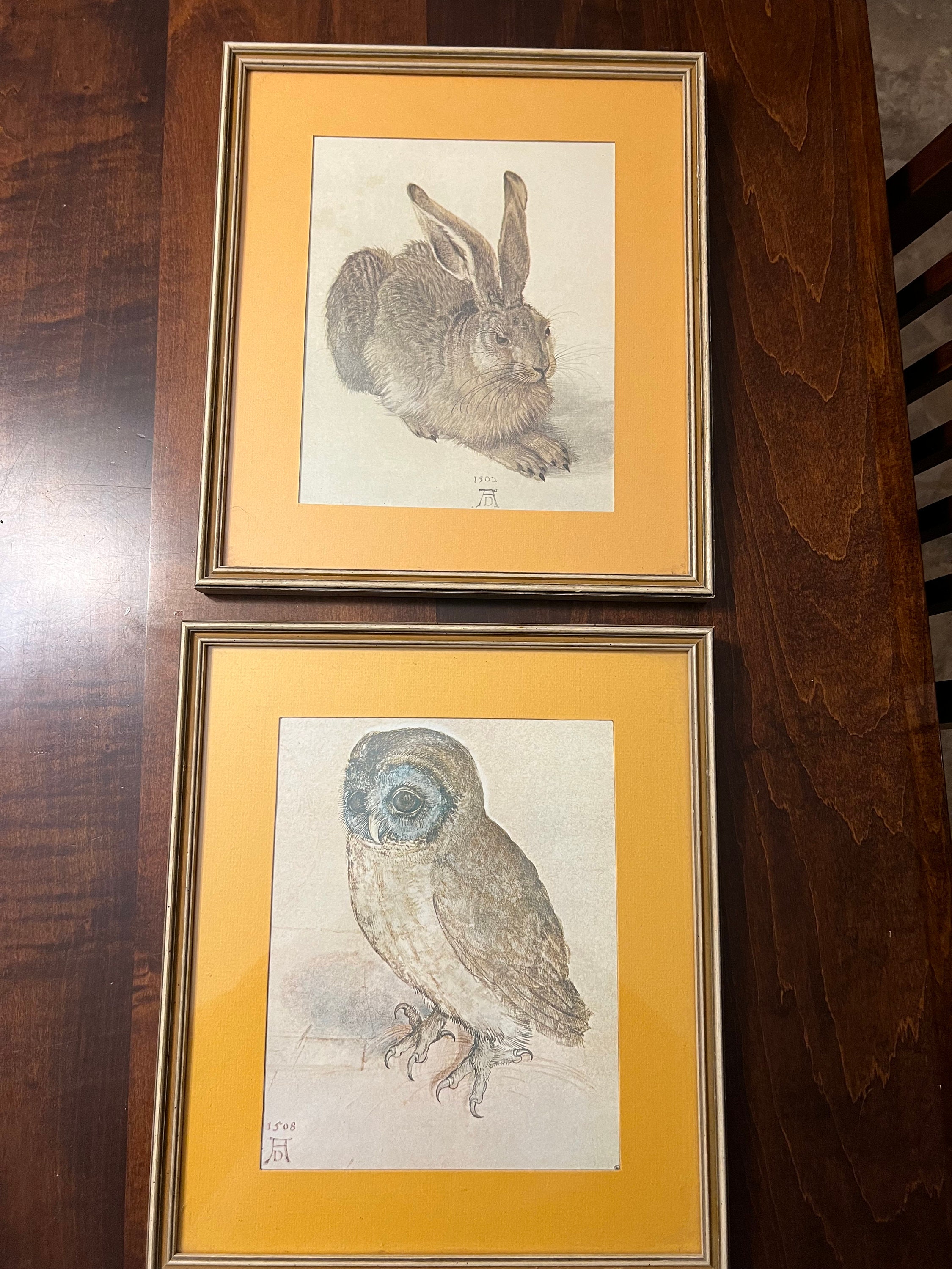 Albrecht Durer Rabbit and Owl Framed Prints Vintage Art - Etsy