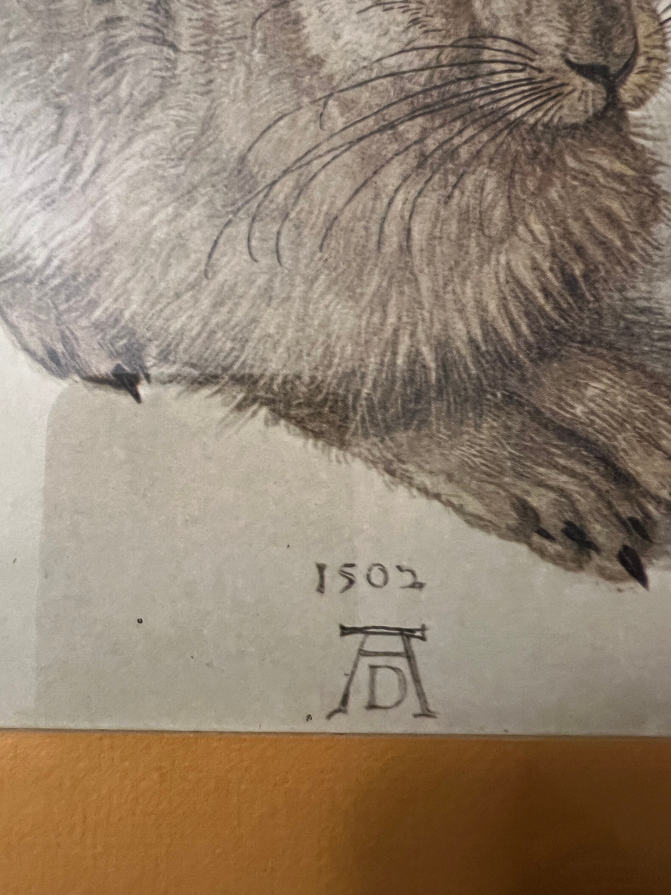 Albrecht Durer Rabbit and Owl Framed Prints Vintage Art - Etsy