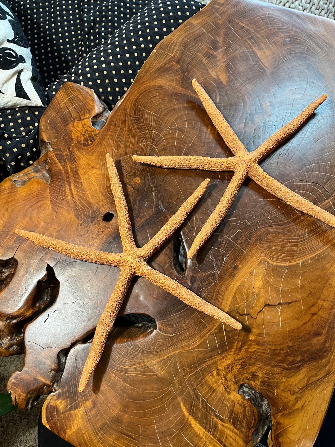 Extra Large Realistic Look Starfish SET of TWO - Etsy