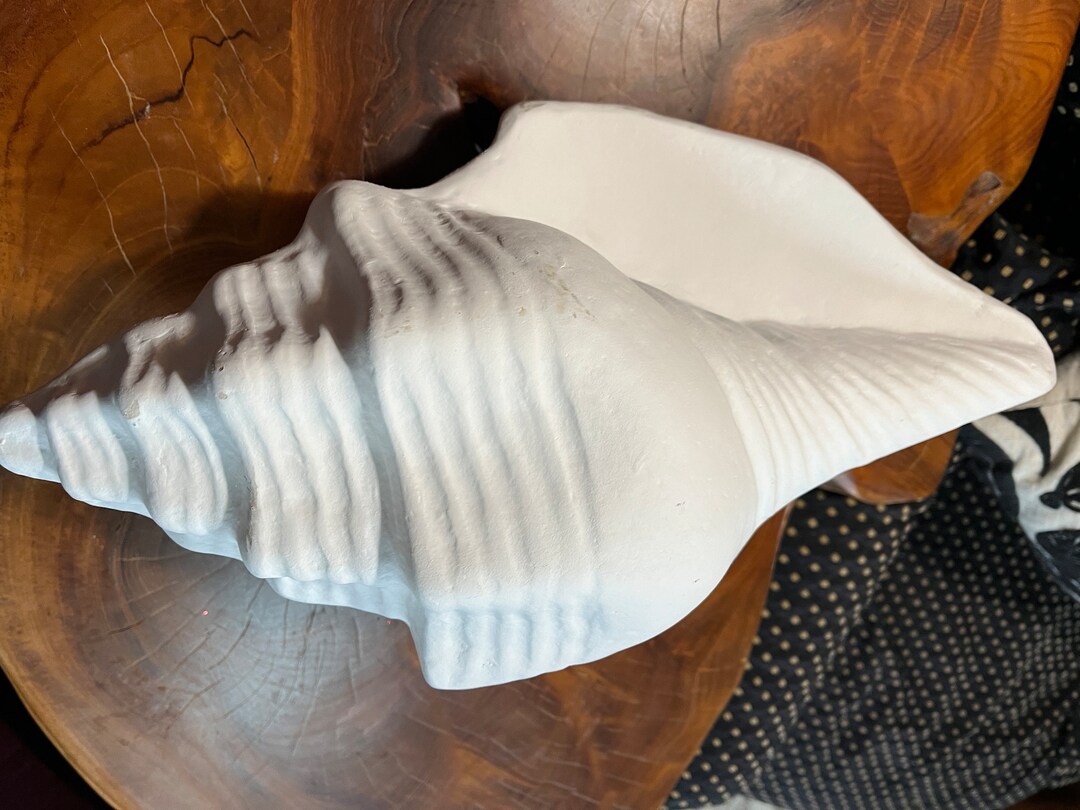 EXTRA LARGE Ceramic Seashell - Etsy