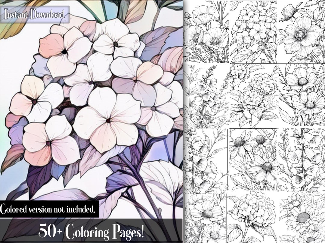 50 Digital Coloring Book Pages Garden | Floral | Botanical | Commercial ...