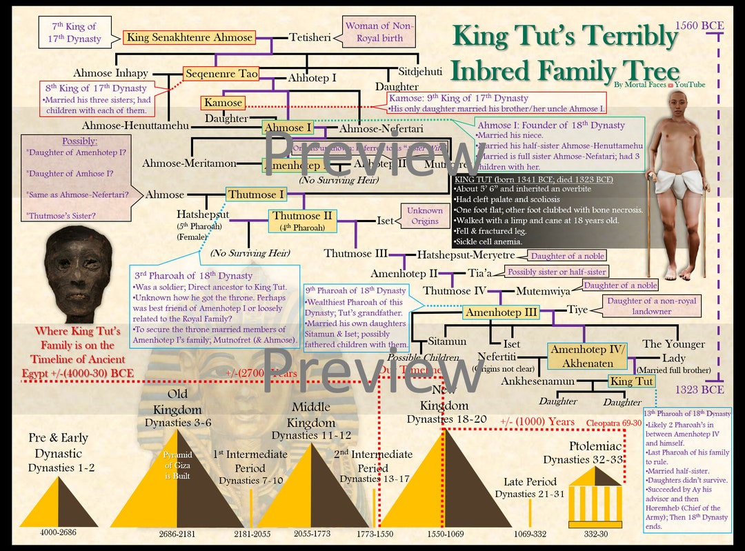 King Tut's Inbred Family Tree Poster 24 X 18 by Mortal Faces - Etsy